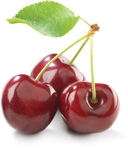 Cine reuseste sa efectueze? - KIDIBOT - Bătăliile cunoașterii