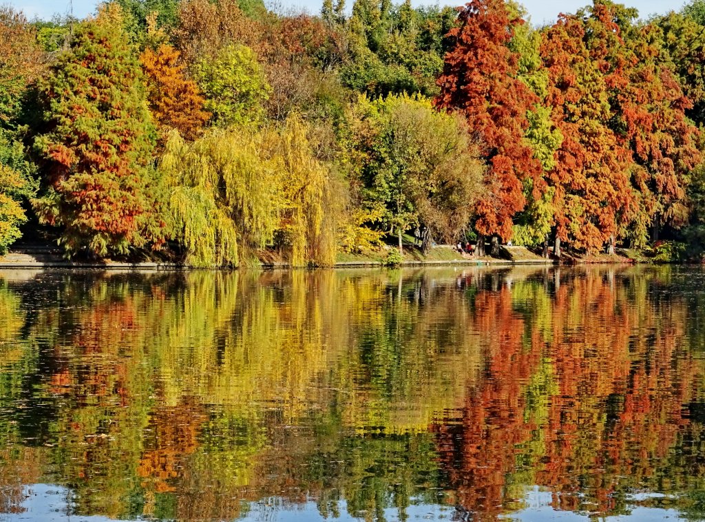 Despre Toamna - 1 - KIDIBOT - Bătăliile cunoașterii