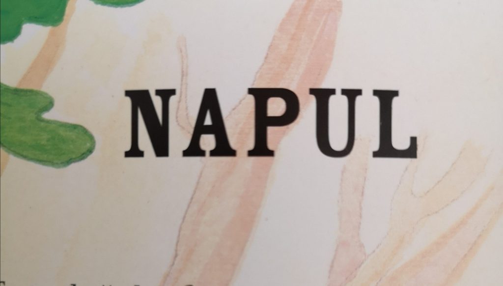 Verbs - KIDIBOT - Bătăliile cunoașterii